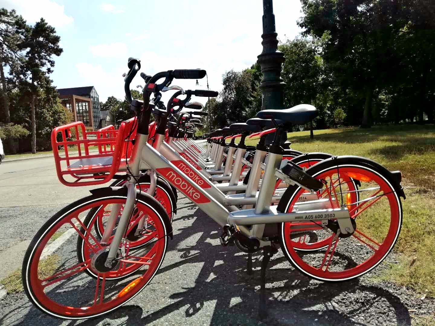Mobike arriva a Ferrara: ecco come funziona il nuovo bike-sharing ...